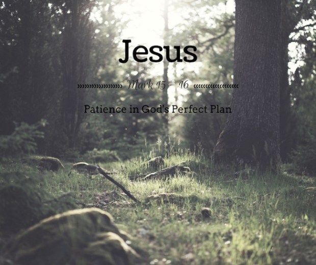 30 Day Patience Bible Study: Jesus | Living My Full Life